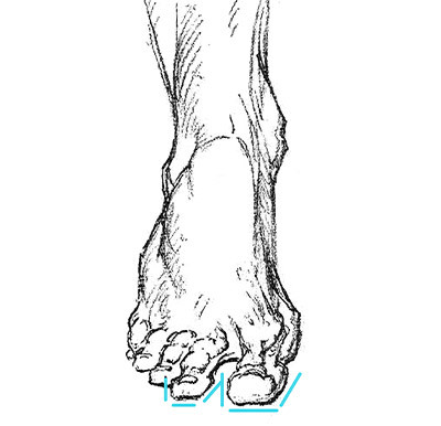 Proko - How to Draw Feet