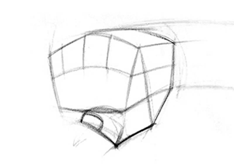 Proko - Drawing a Perfect Fist – HANDS in Action!!!