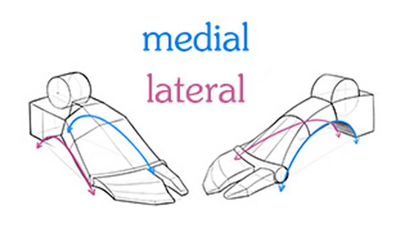 Proko - How to Draw Feet with Structure – Foot Bone Anatomy