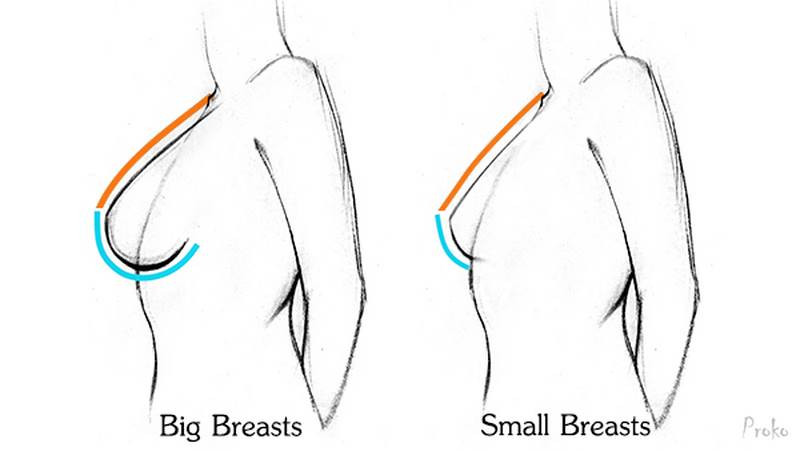 Proko - How to Draw Breasts – Form & Motion